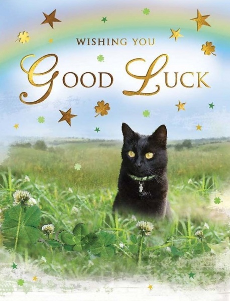 Congratulations & Good Luck Cards