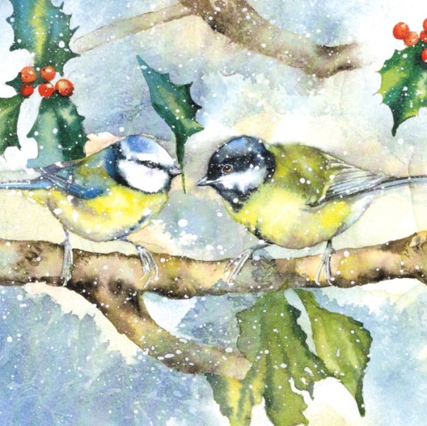 Wren/Robin & Blue Tit/Great Tit Christmas Cards | Pack of 10 | Rachel Toll