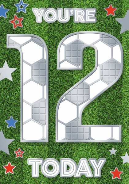 Lizards Boy 12th Birthday Card | Kingfisher Cards