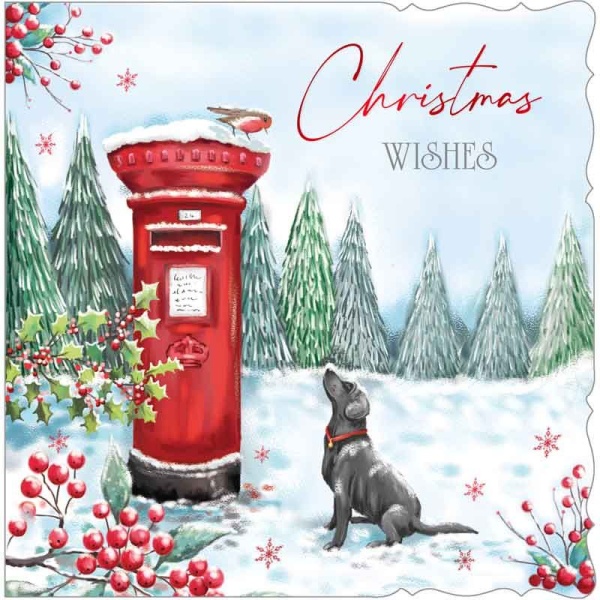 Festive Post Christmas Cards | Pack of 12 | Mistletoe Press