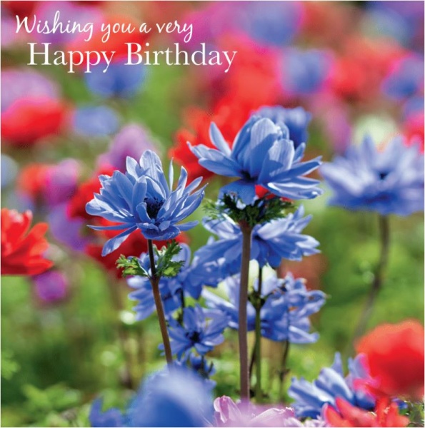 Pink Peonies Birthday Card | Simon Elvin Pink Peonies Birthday Card | Simon Elvin