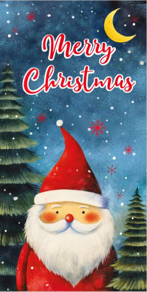 Christmas Money Wallet Cards