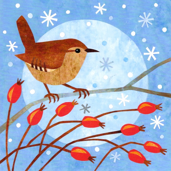 Wren & Barn Owl Christmas Cards | Pack of 10 | Manda Beeching