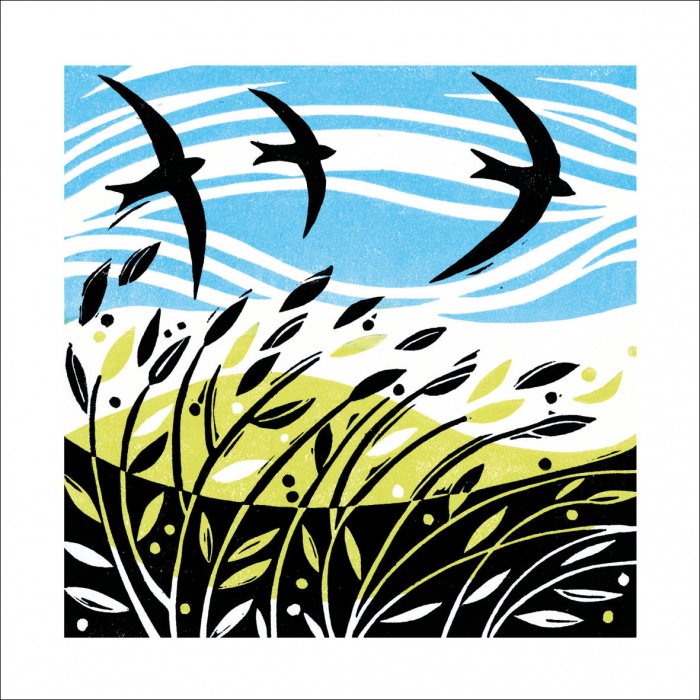 Swooping Swifts Greeting Card | Manda Beeching