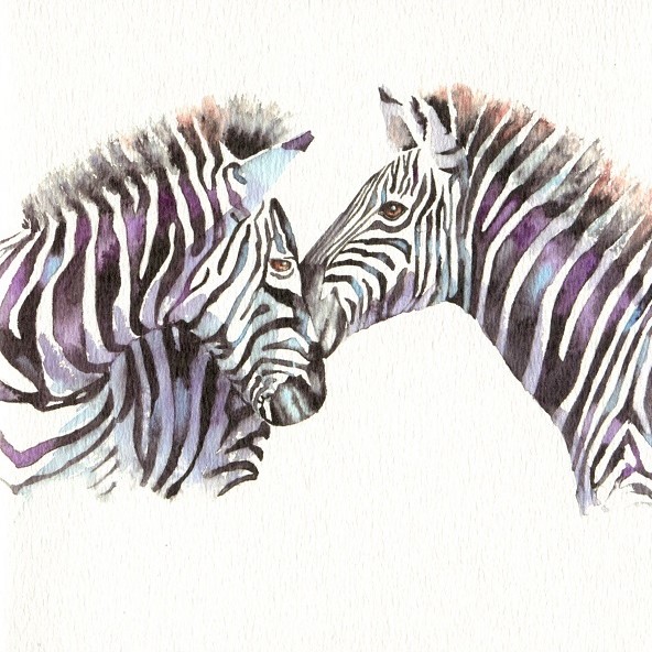 Zebras Greeting Card | Rachel toll