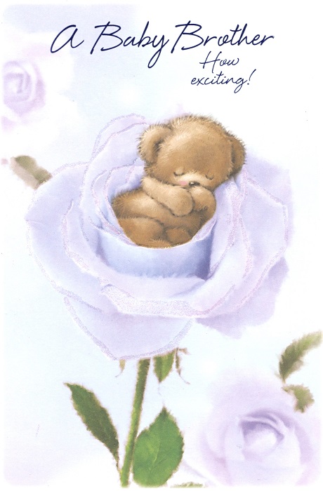 A Baby Brother New Baby Card | Simon Elvin