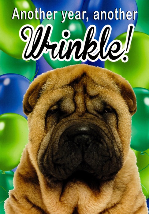 Another Year Another Wrinkle Humorous Birthday Card Another Year Another Wrinkle Humorous Birthday Card