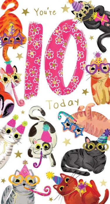 Cats Girl 10th Birthday Card | Kingfisher Cards