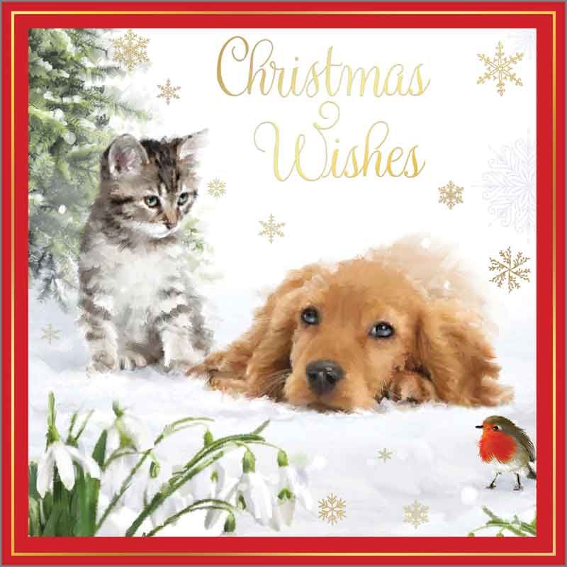 Furry Friends Christmas Cards | Pack of 24 | Mistletoe Press