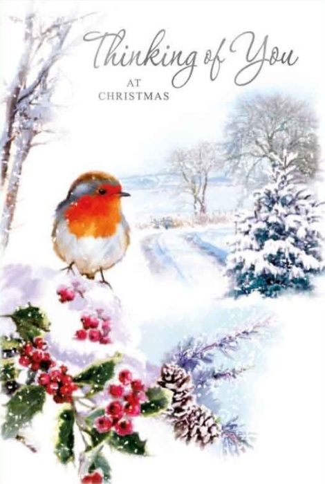 Robin Thinking Of You Card | Simon Elvin